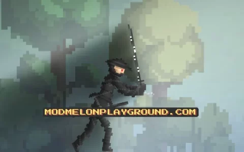 Mods for Melon Playground(Melon Sandbox)